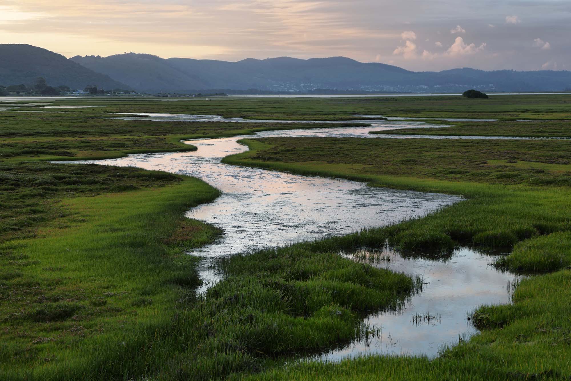 Mpologoma Catchment Restoration Project – ECOTRUST