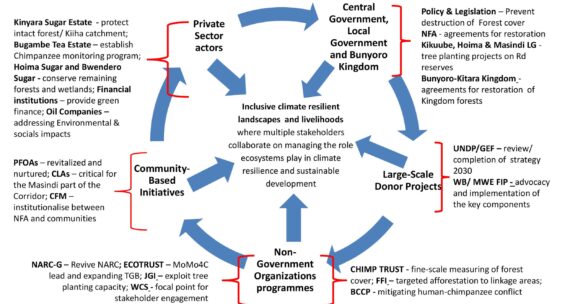 Corridor Restoration Programme – ECOTRUST