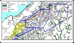 Corridor Restoration Programme – ECOTRUST