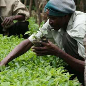 Programmes – ECOTRUST